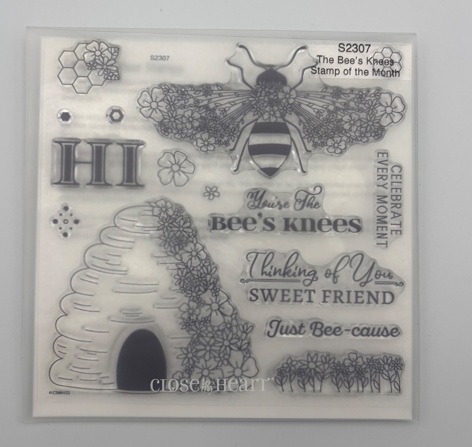 Close To My Heart Stamps ~You Chose. CTMH My Acrylix Stamps | eBay