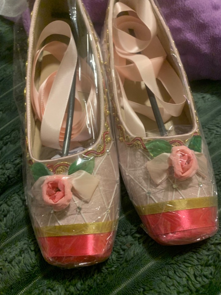 Barbie and the Twelve Dancing Princesses Ballet Flats | eBay