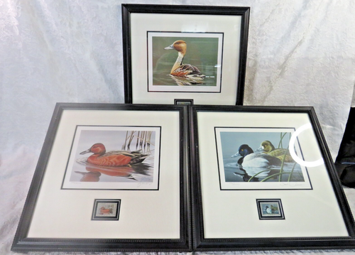 Lot of 3 Framed Federal Duck Stamp Print / With COA | eBay