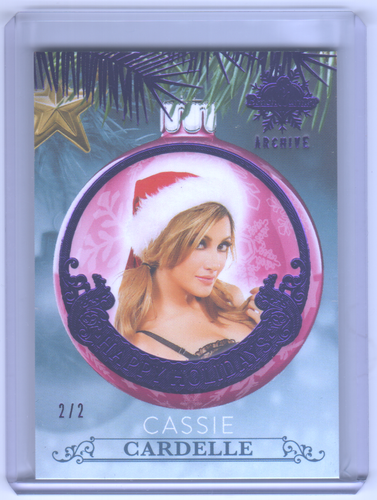 Cassie Cardelle 2019 BenchWarmer Bench Warmer Holiday Ornament Card ...