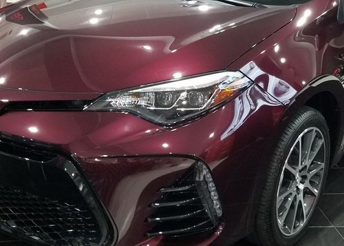 BASF TouchUp Paint Bottle for Toyota Corolla 3R3 3P2 209 070 8W7 1F7 ...