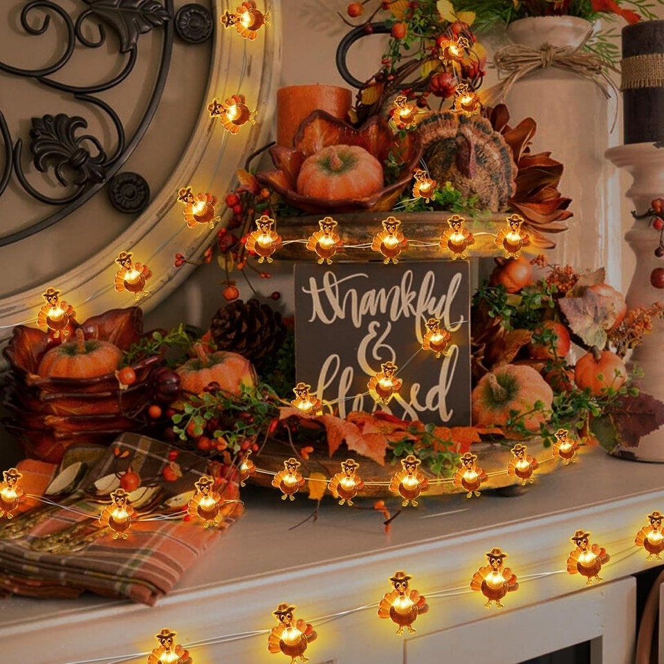 [Timer] Fall Thanksgiving Turkey Lights Decorations, 10FT 30LED Warm ...
