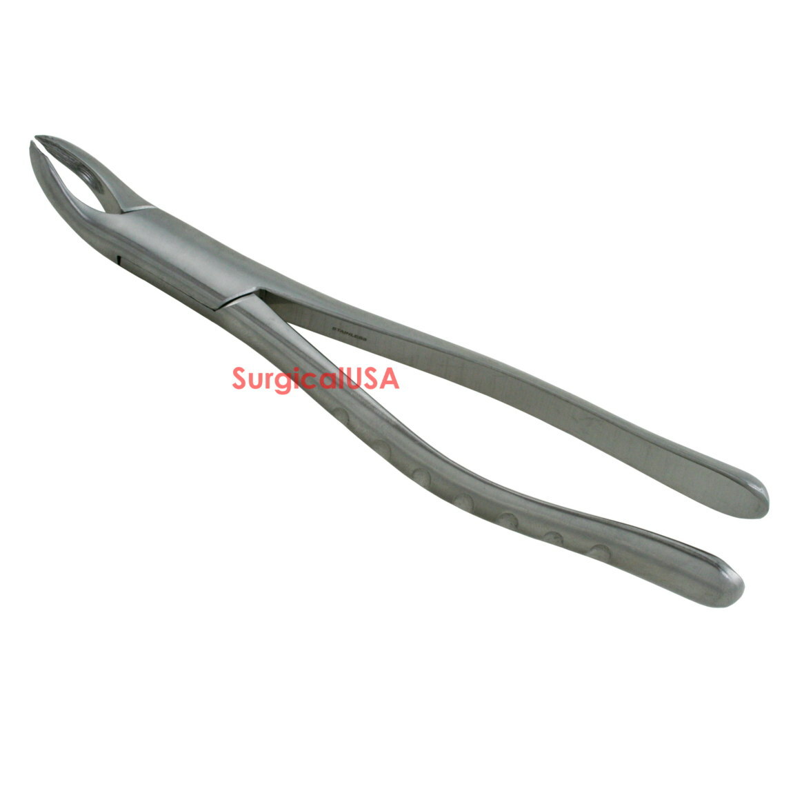 Extracting Forceps #217 Serrated Beaks Dental Extraction Surgical ...