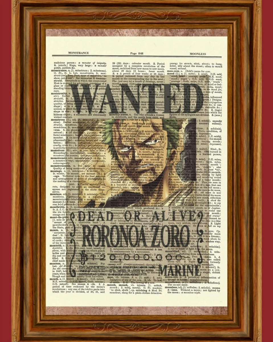 Zoro One Piece Art Book