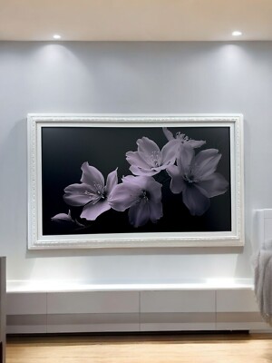 65 & 75 inch Hisense wood frame, Satin white finish,Canvas TV by ...