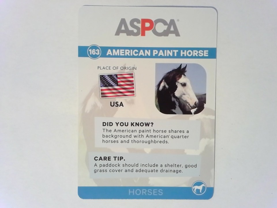 American Paint Horse #163 2016 ASPCA Pets & Creatures Trading Cards LB5 ...