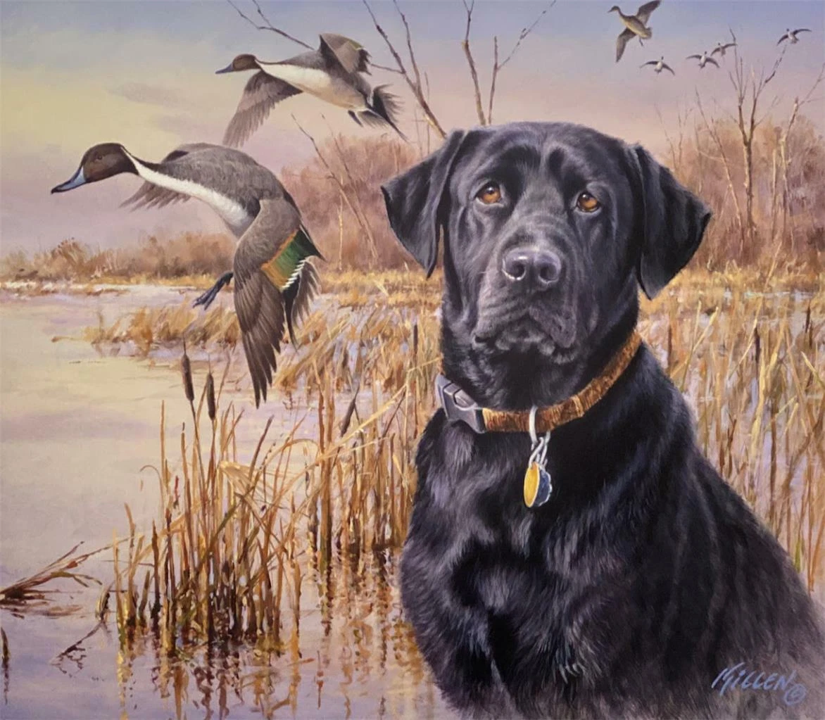 Lab Duck Hunting Paintings