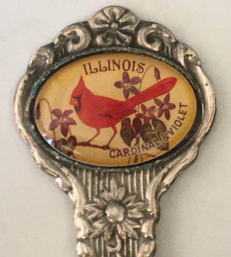 Vintage Souvenir Spoon US Collectible Illinois Cardinal & Violet | eBay