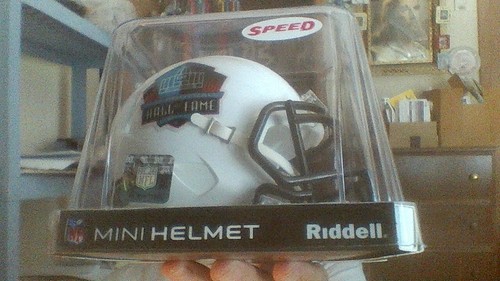 Riddell NFL Hall of Fame Speed Mini Helemt | eBay