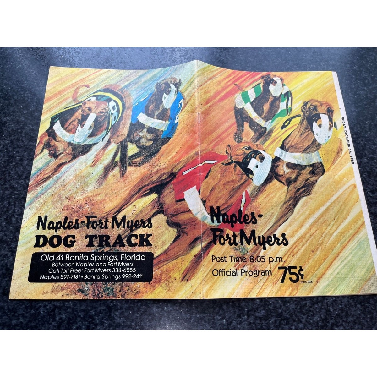 Naples Dog Track Schedule Ready To Run On The Runway? Sign Up Today!