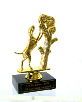 COON DOG TROPHY HUNTING TROPHY FREE LETTERING | eBay