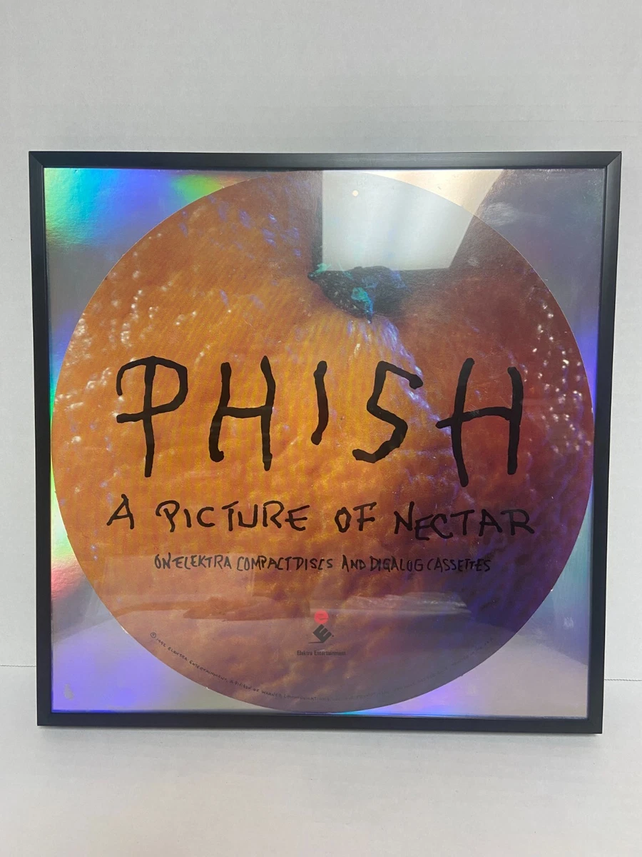 A Picture Of Nectar Phish