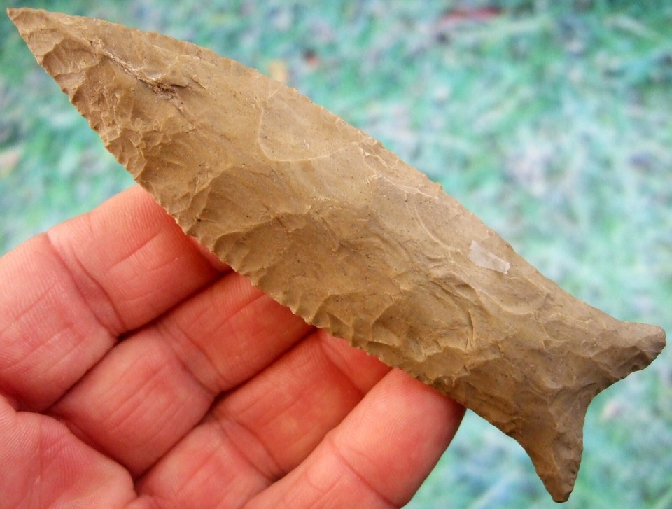 Super Fine Museum Quality 4 5/8 inch Alabama Dalton Point Insight COA Arrowheads | eBay