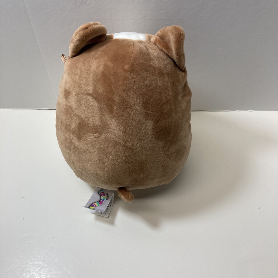 Squishmallow Kellytoy Regina The Corgi Puppy Plush Stuffed Animal 8” | eBay