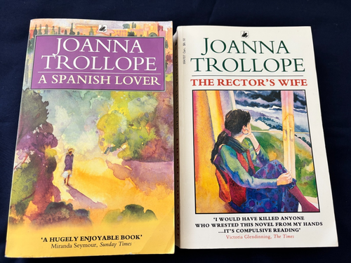 2 Vintage Joanna Trollope Paperback Novels The Rector's Wife, A Spanish ...