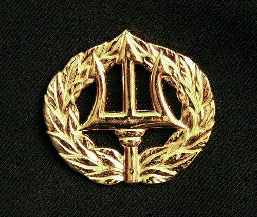 US NAVY USN COMMAND ASHORE PROJECT MANAGER BADGE FULL SIZE | eBay