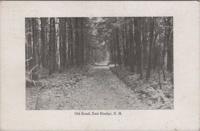 Old Road East Rindge New Hampshire NH Forest Path 1910s Postcard | eBay