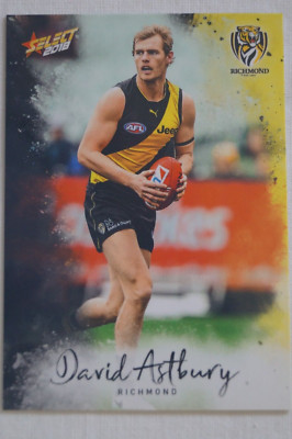 Richmond Tigers AFL-VFL Football Select Stats In Action Card David ...