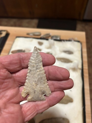 Authentic thin Pine tree arrowhead, artifact, from Kentucky! | eBay