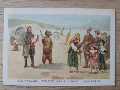 Chromo Bon Point École Farine Salvy, Les animaux utilisés par l'homme ...