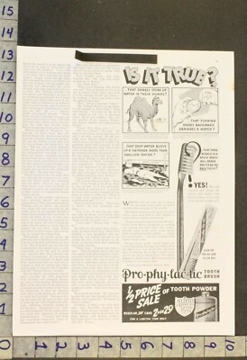 1938 PROPHYLACTIC TOOTHBRUSH POWDER PASTE DENTIST MEDICAL DENTAL DECOR ...