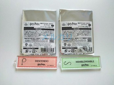 Harry Potter Spell Acrylic Keychain 2-Piece Set | eBay