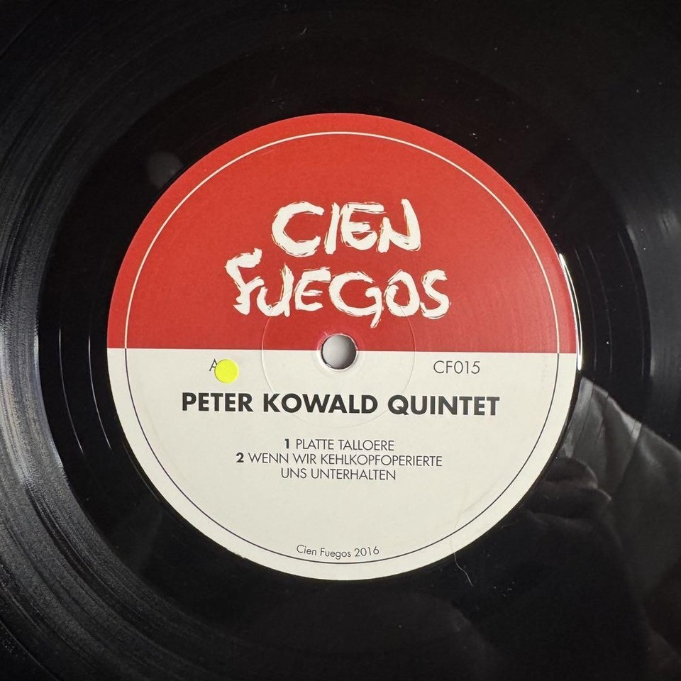 Mr.Biggs Busted 7" Reggae Ska Dub Rap Vinyl Record Used | eBay