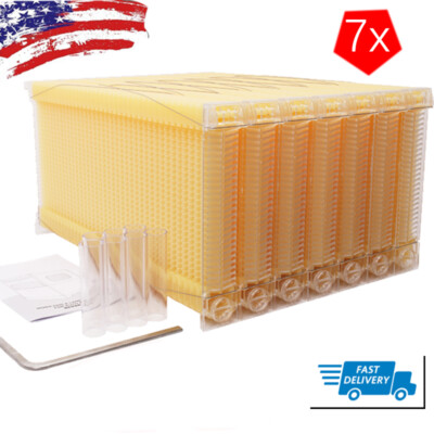 7 x Auto Bee Hive Frames Beekeeping Frames for Honey Langstroth Bee ...