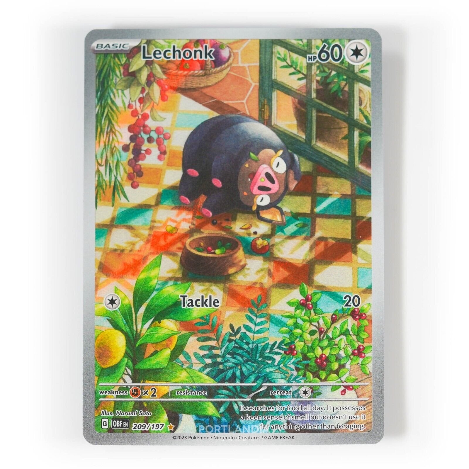 Pokemon - Lechonk - 209/197 - SV Obsidian Flames - Illustration Rare ...