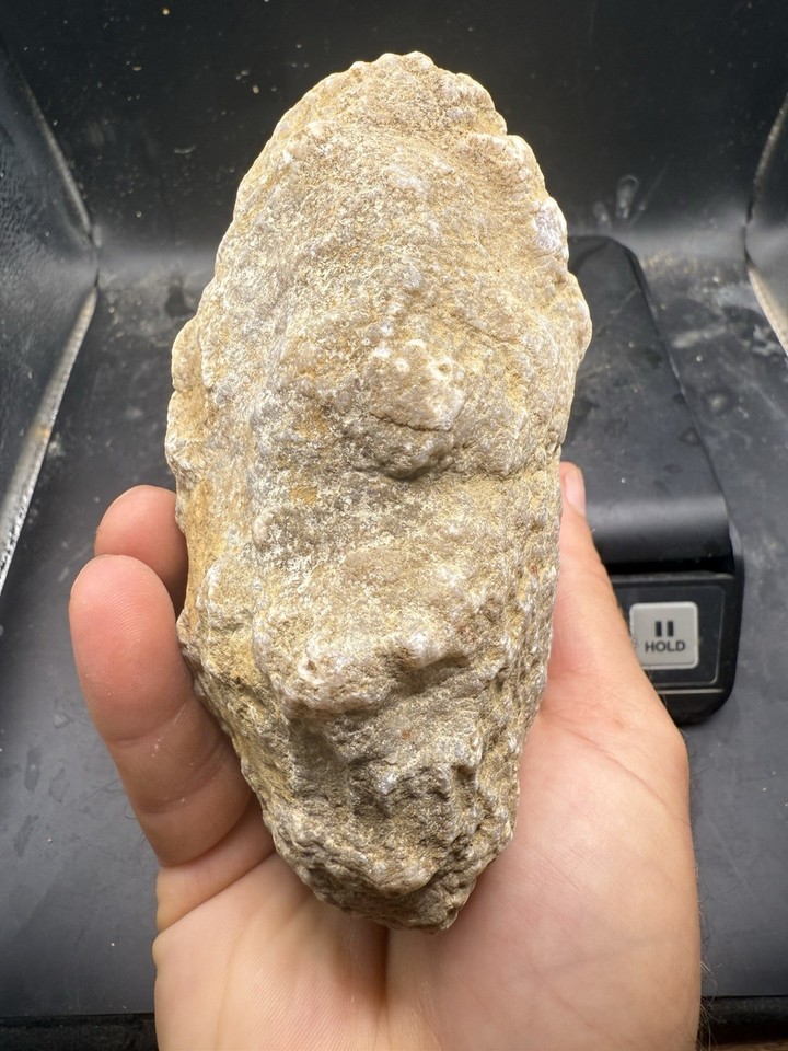 Fossilized Indiana Geode Quartz Crystal Whole 6,105 Carats Agate | eBay