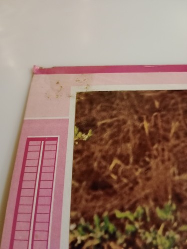 Vintage Sexy Pinup Girl Calendar Automotive Tool Shop Garage 1975 | eBay