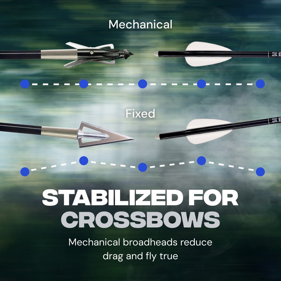 BALLISTA BAT Reverse L-Stock Hunting Crossbow Bundle - Quiver, 4x32 ...