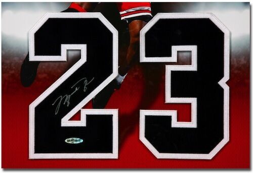 Michael Jordan Autographed Chicago Bulls Jersey Numbers "Bulls-Eye" 16 ...