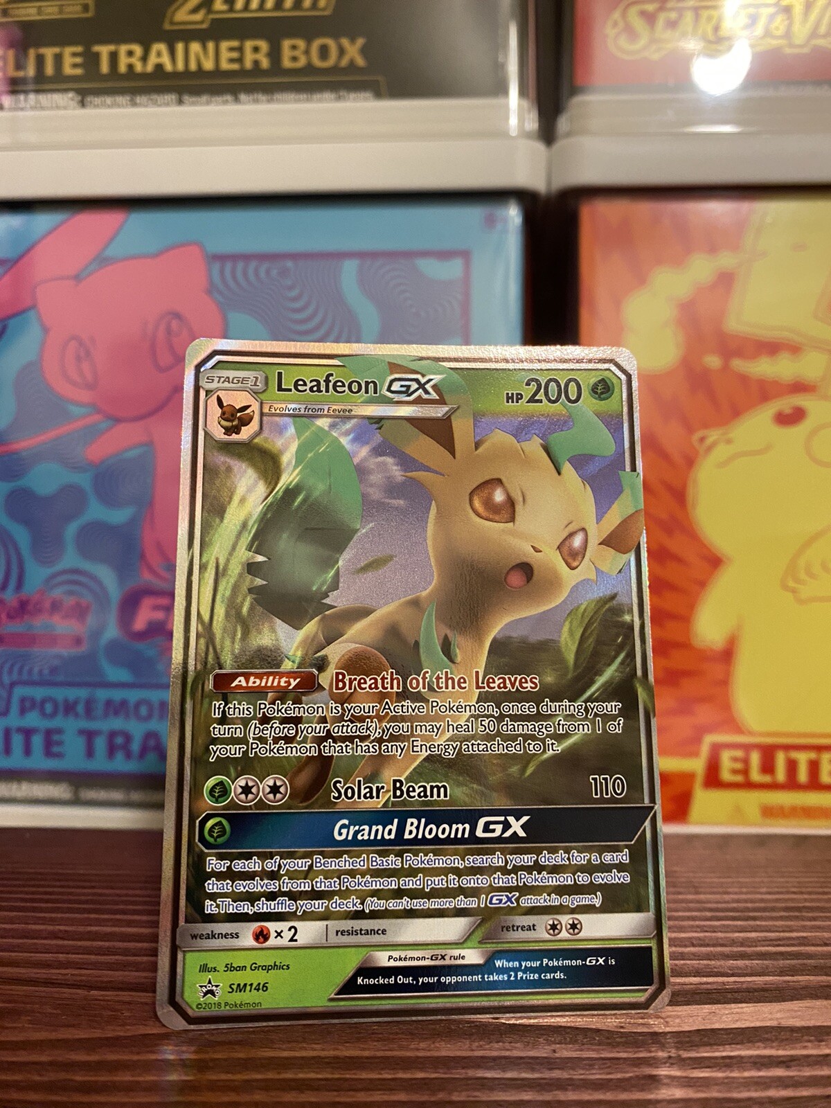 Pokémon TCG Leafeon Sun & Moon SM146 Promo Promo for sale online | eBay