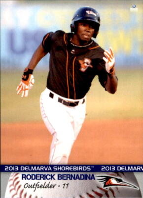 2013 Delmarva Shorebirds Brandt #3 Roderick Bernadina Willemstad ...