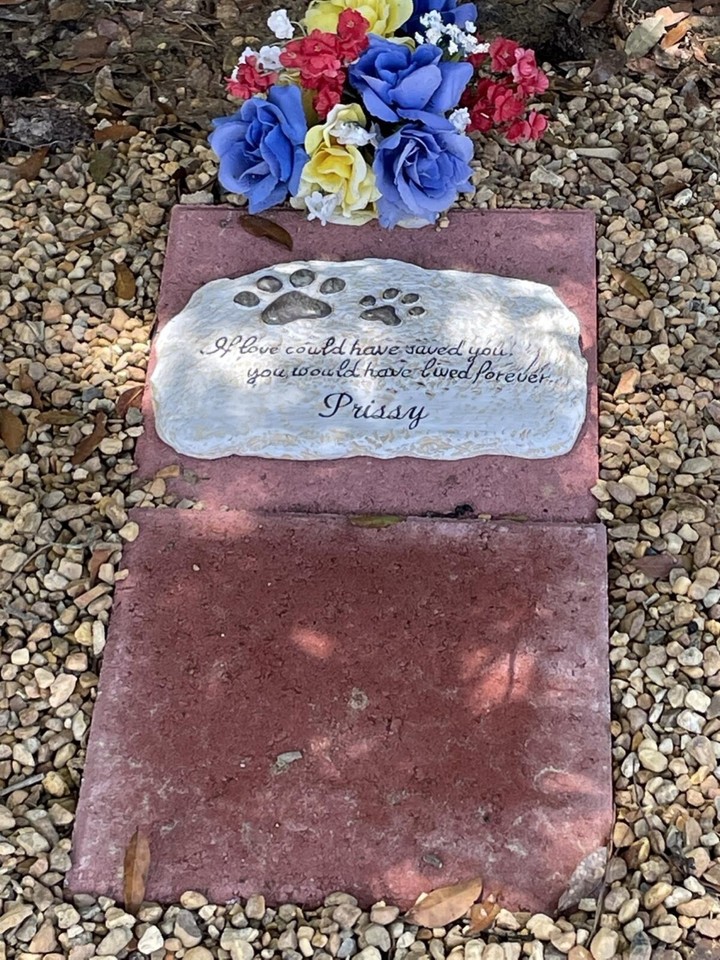 Pet Memorial Cemetery Stepping Stone PERSONALIZED Dog Cat Paw Print ...