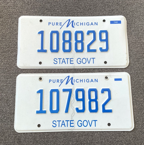 RARE 2019 STATE GOV. MICHIGAN LICENSE PLATE PLATES 2 VARIATIONS SEE ...