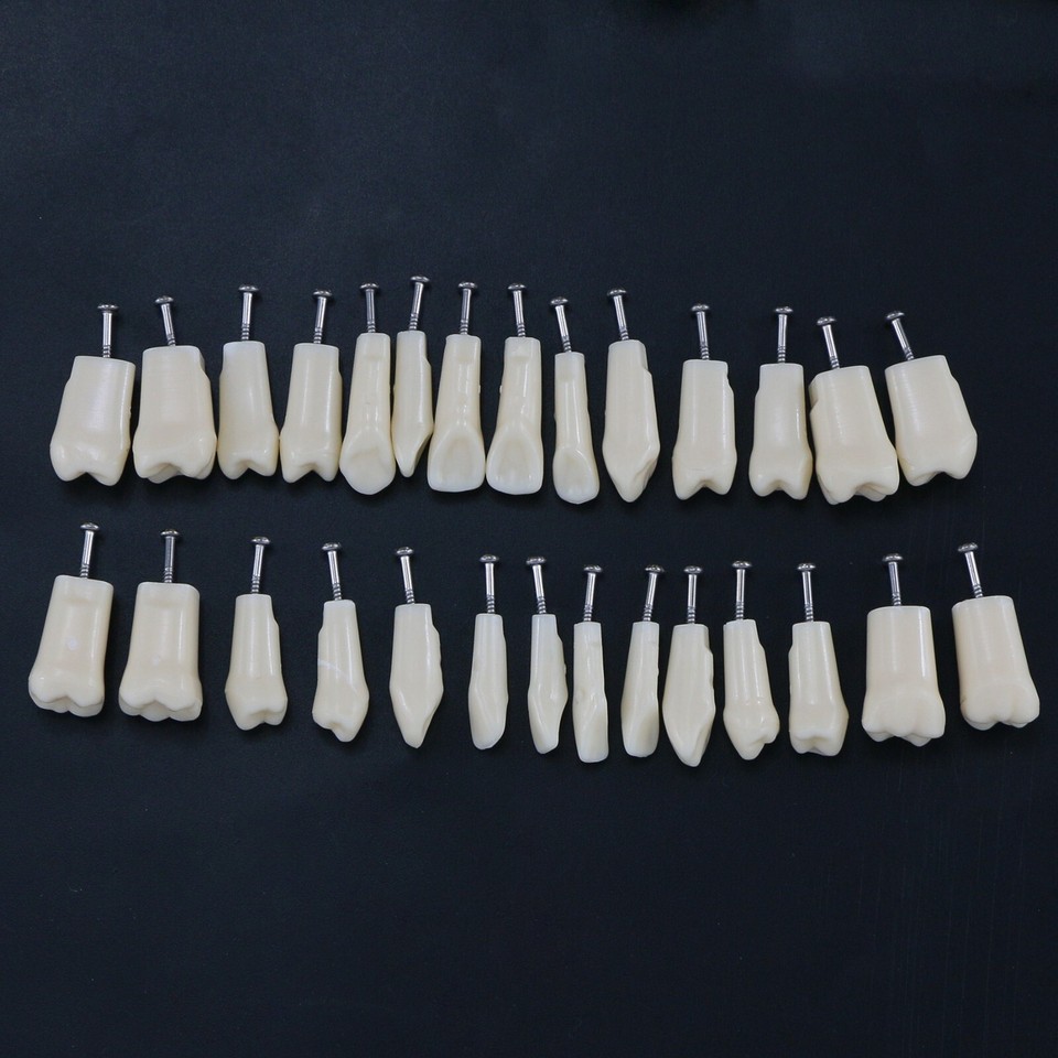 Fit Kilgore NISSIN 200/500 Type Dental Replacement Screw-in Teeth ...