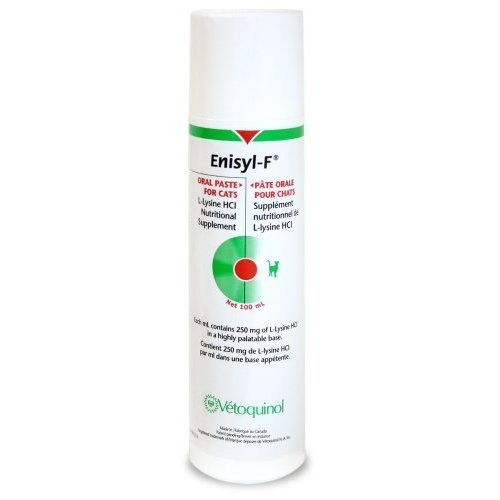 Enisyl-F Oral Paste Pump L-Lysine HCI by Vetoquinol (100 ml ...