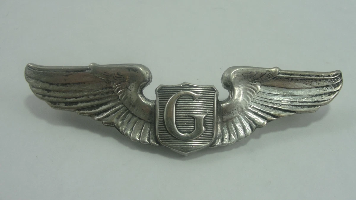 Flying Wings Pin