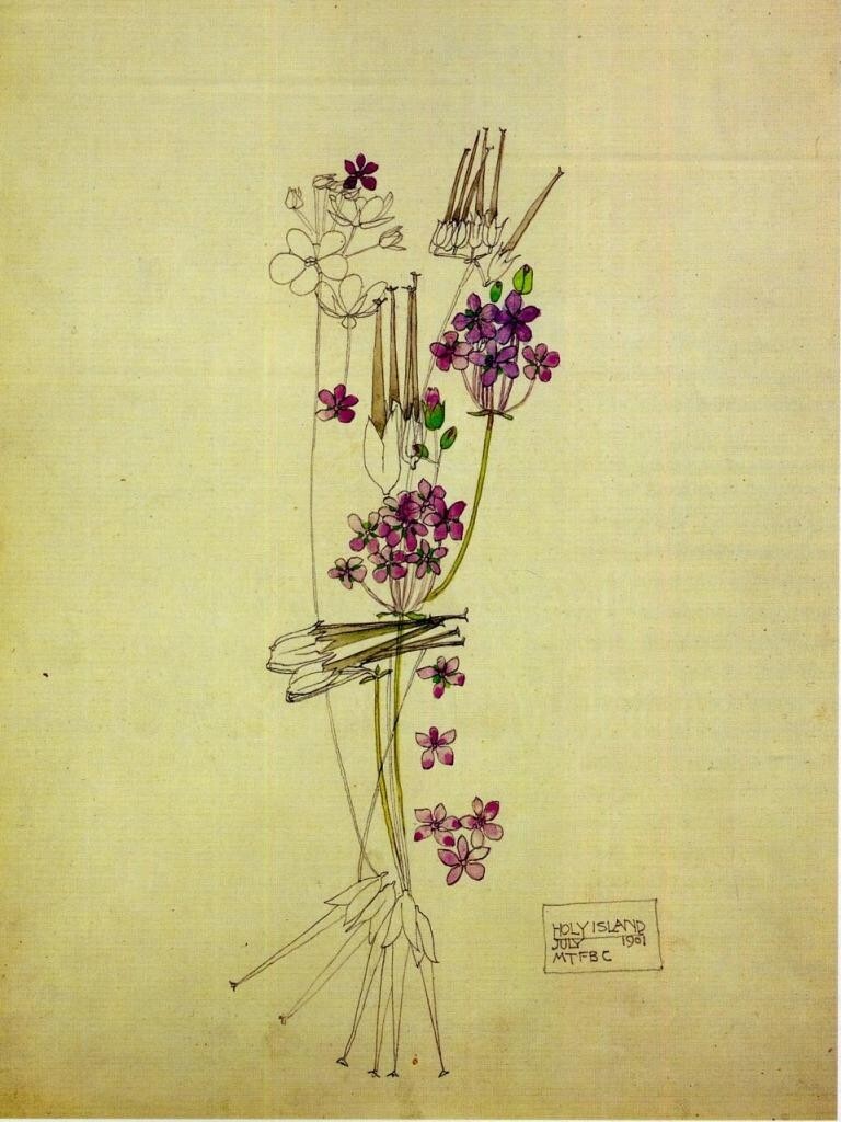 Island Flowers Drawings