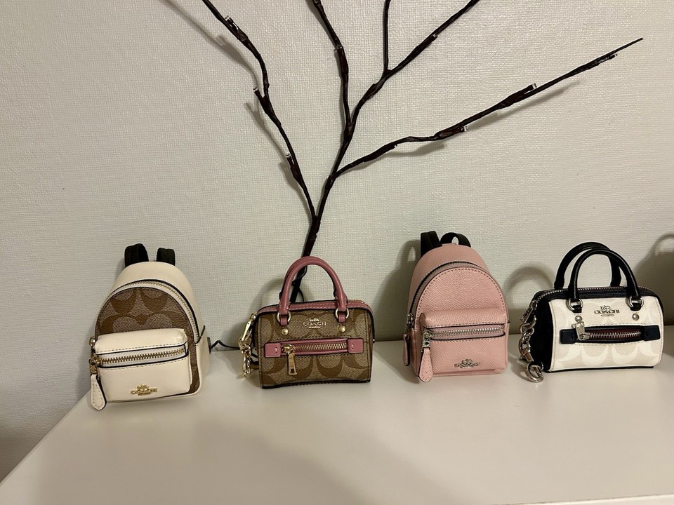 Coach Mini Bag Charm Keychains Multicolor with Zipper Buckle Chain ...