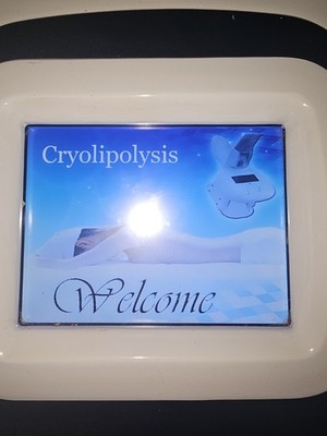 Cryolipolysis Fat Reduction Machine – 2 Functional Handles – For Repair ...