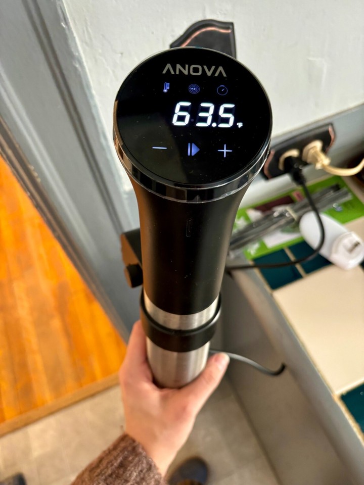 Anova Sous Vide full kit with precision cooker, container and bags | eBay