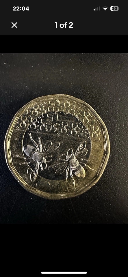 2023 King Charles £1 pound Coin bright uncirculated The Bees Rare Coin ...