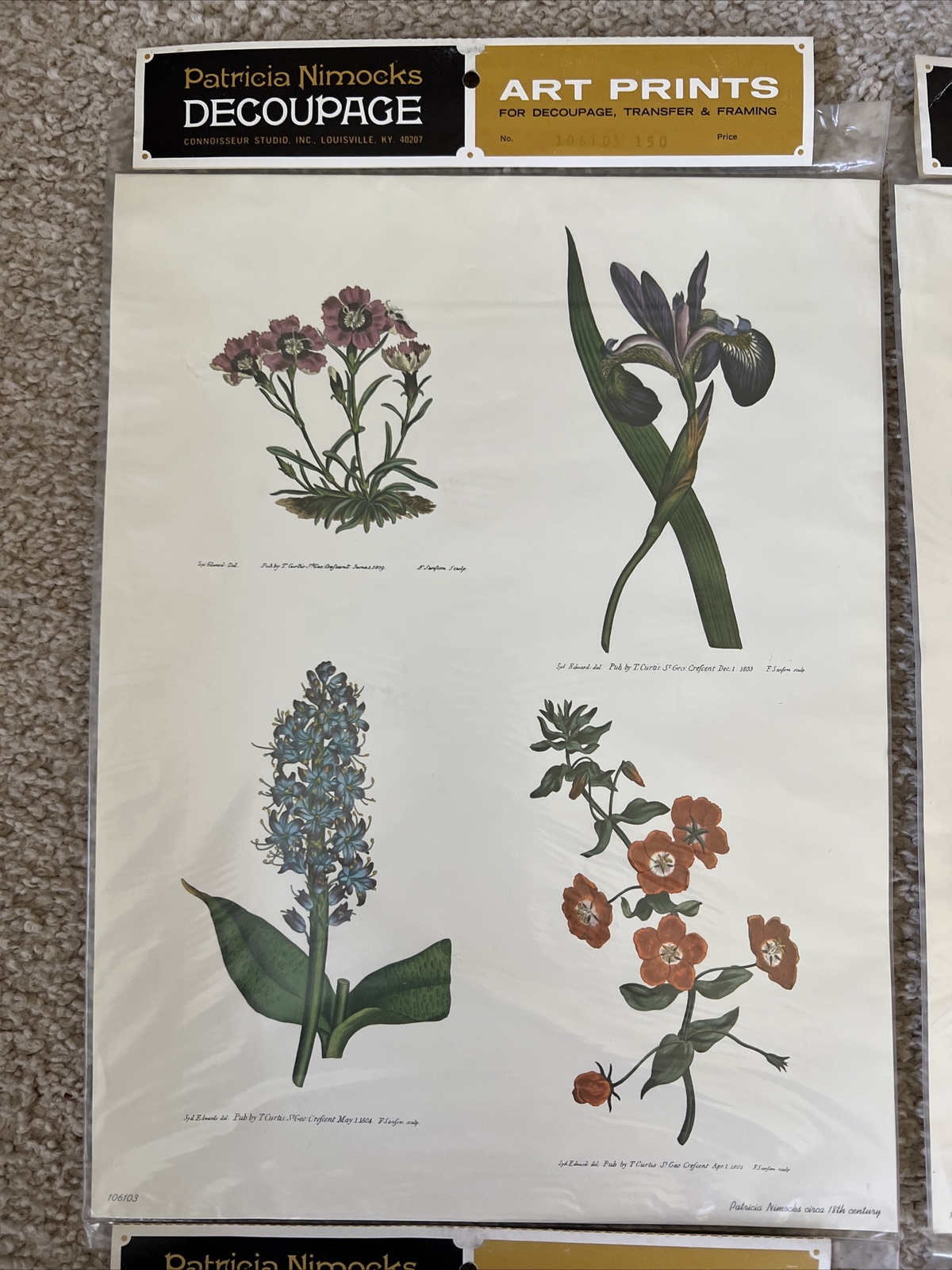 Vintage 1960s Patricia Nimocks Decoupage Art Prints Flowers Circa 18th ...