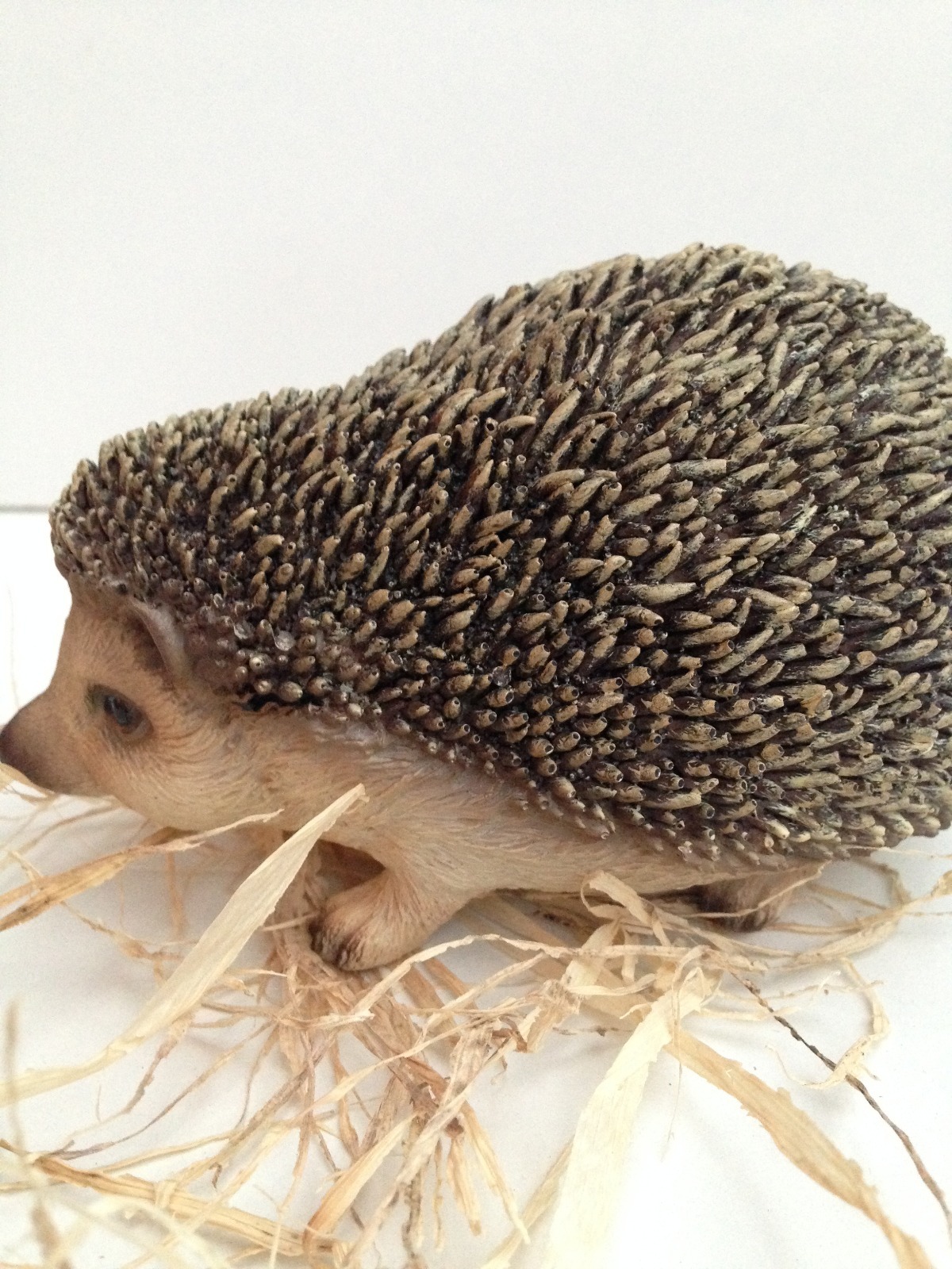 Real Life Pygmy Hedgehog Vivid Arts Pet Pals Garden Ornament | eBay UK