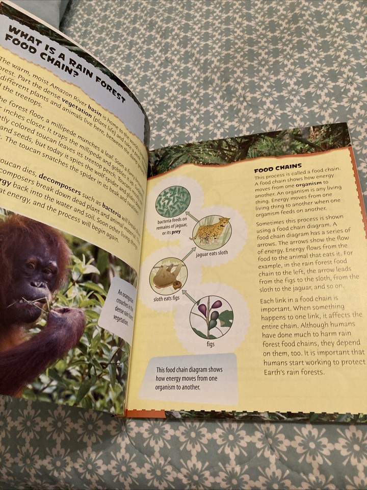 Rain Forest Food Chains by Heidi Moore (2010, Trade Paperback ...