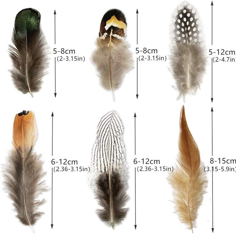 180pcs 6 Style Natural Feathers Assorted Mixed Feathers for Dream ...