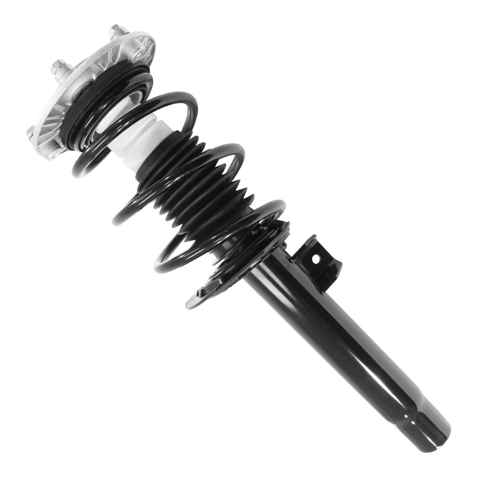 Front Struts w/Coil Springs Assembly for BMW 320i 328i 335i 340i ...